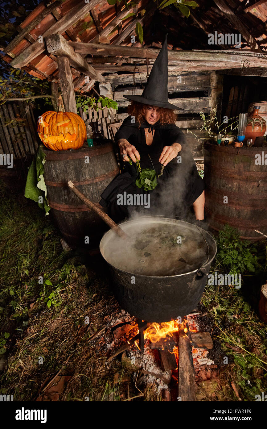Witch boiling spells in a cast iron black pot in her shed Stock Photo ...