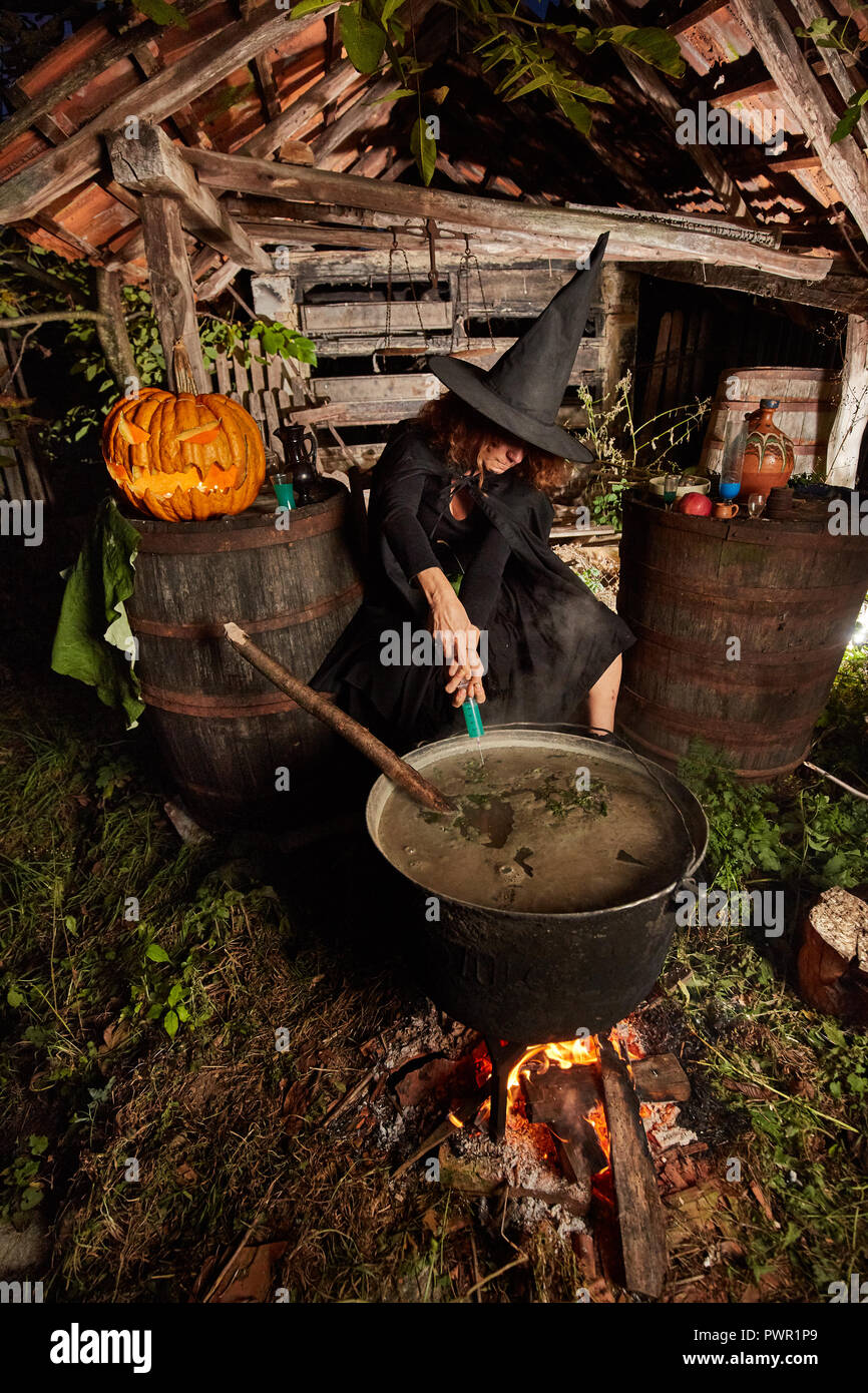 Witch boiling spells in a cast iron black pot in her shed Stock Photo ...