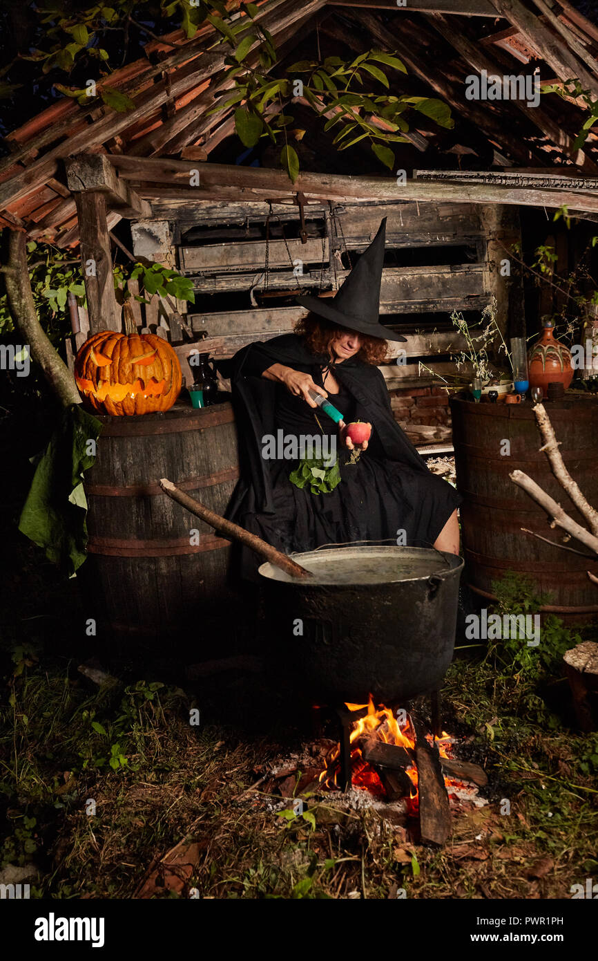 Witch boiling spells in a cast iron black pot in her shed Stock Photo ...