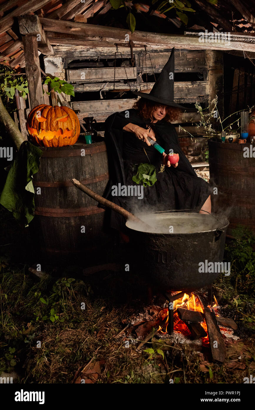Witch boiling spells in a cast iron black pot in her shed Stock Photo ...