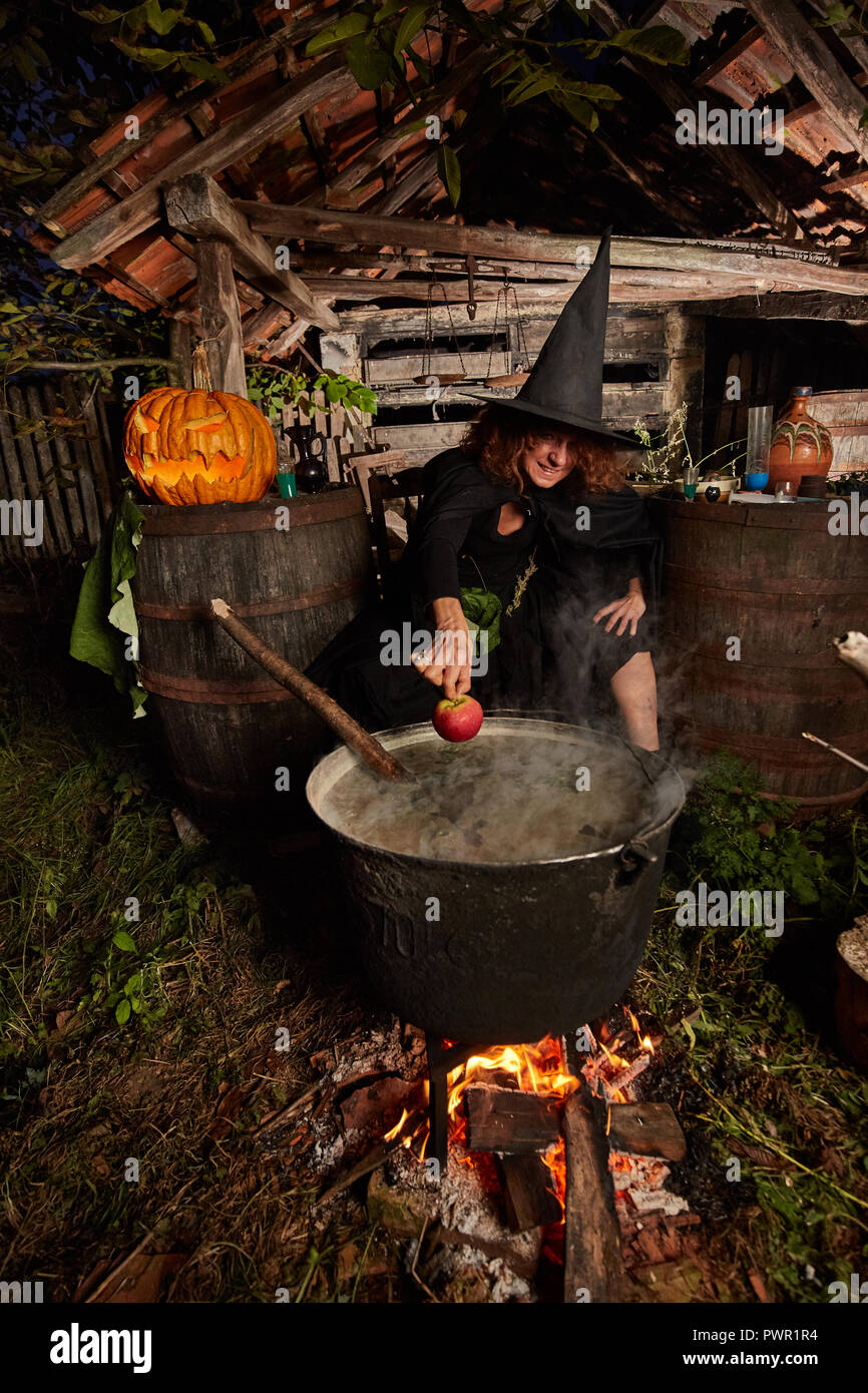 Witch boiling spells in a cast iron black pot in her shed Stock Photo ...