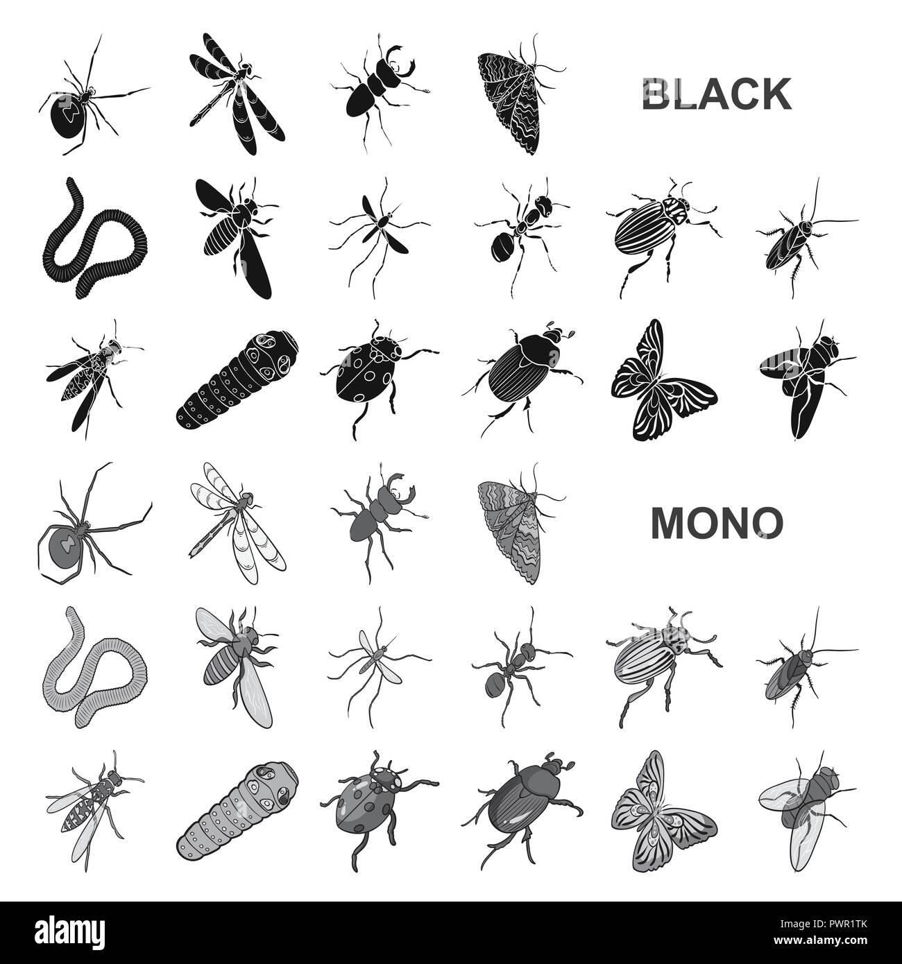 Moth caterpillar web Black and White Stock Photos & Images - Alamy