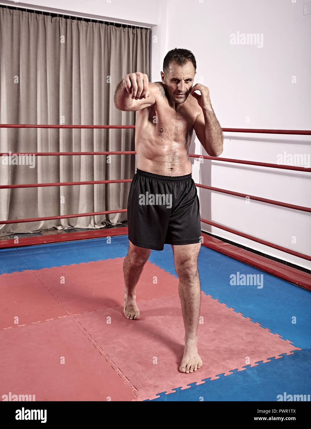 Muay thai or kickbox fighter shadow boxing in the ring Stock Photo - Alamy