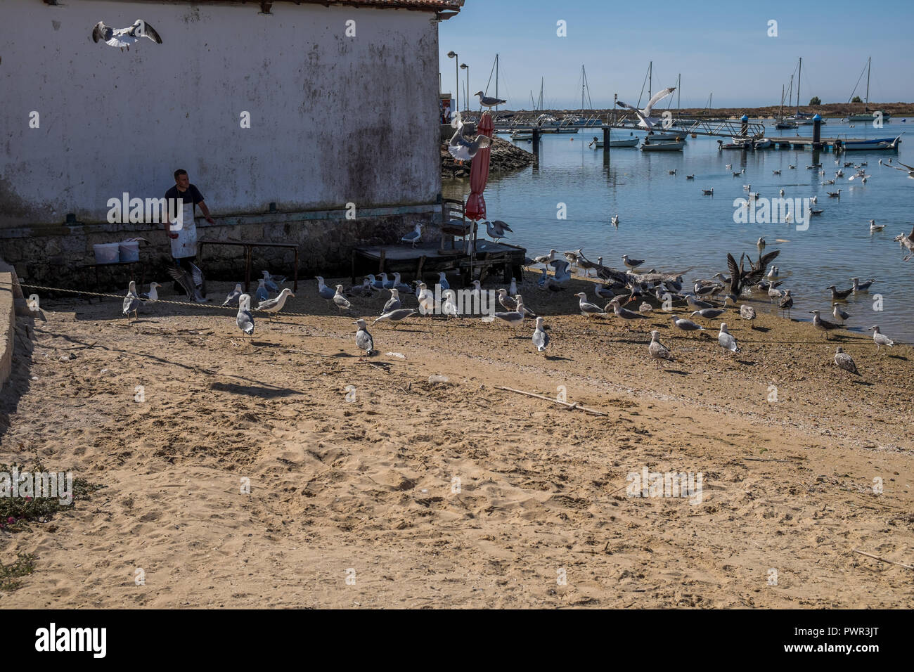 Alvor traditional fishing village hi-res stock photography and images ...