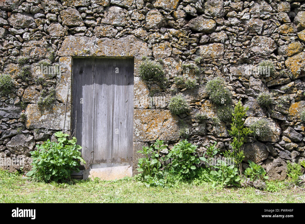 Structure of wall hi-res stock photography and images - Alamy