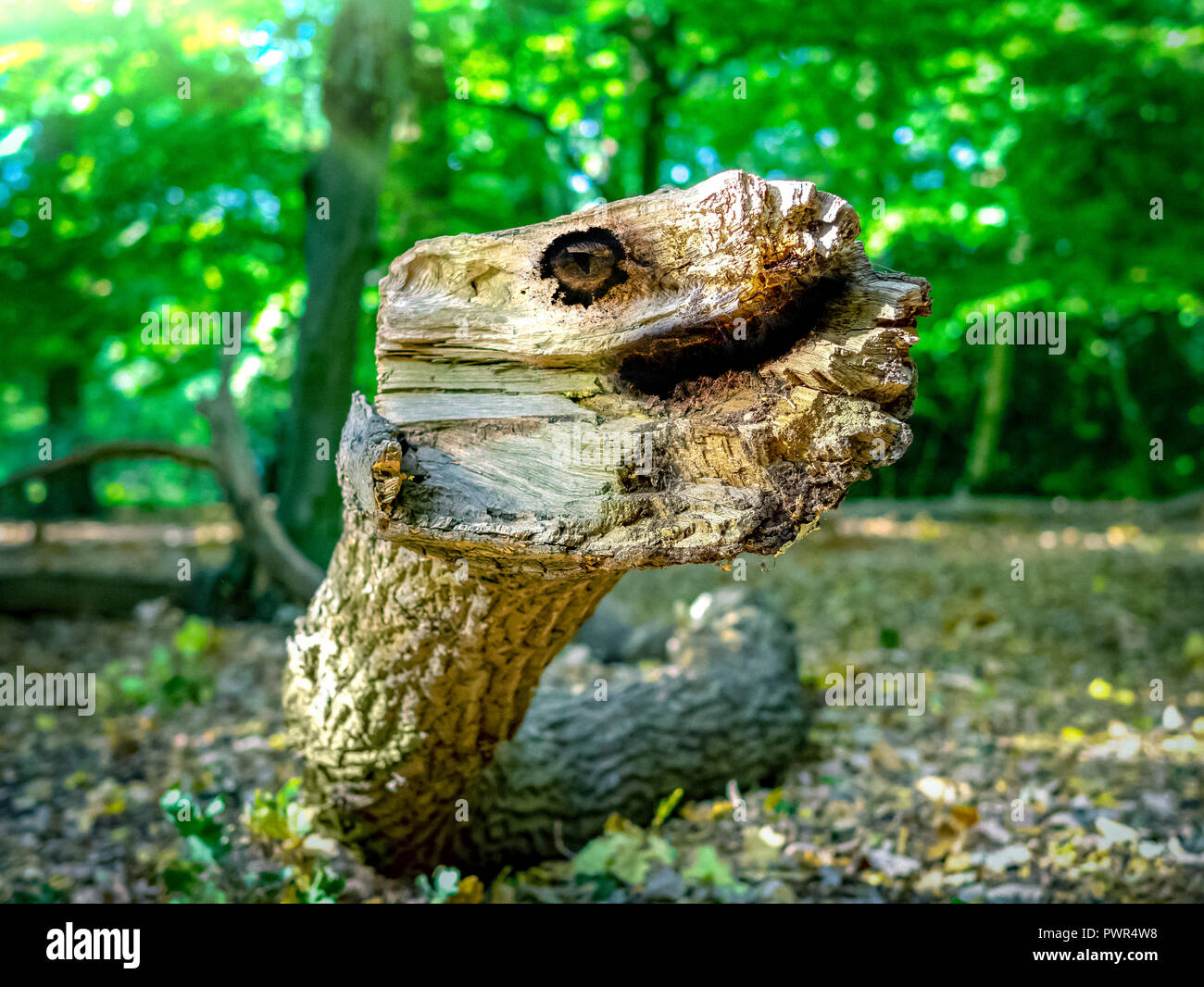 Tree Snake monster Stock Photo - Alamy