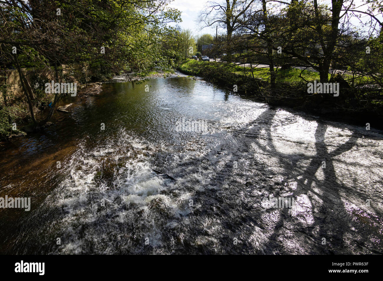 Springtime on The River Skell, Ripon, North Yorkshire, England, UK ...