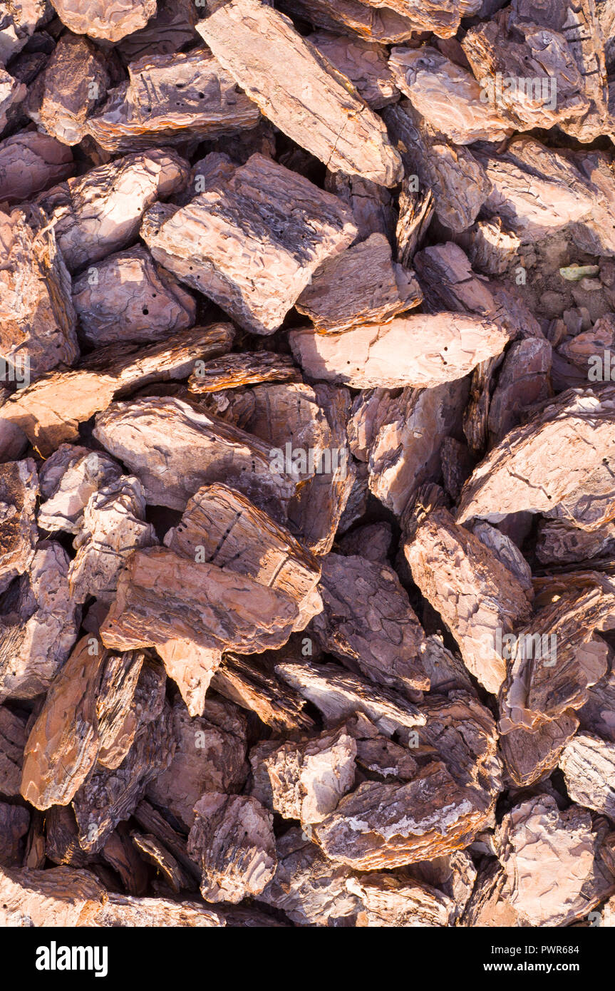Bark mulch texture hi-res stock photography and images - Alamy