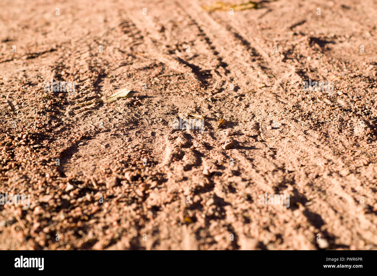 sandy path with cycle bike tire tracks with perspective. background ...