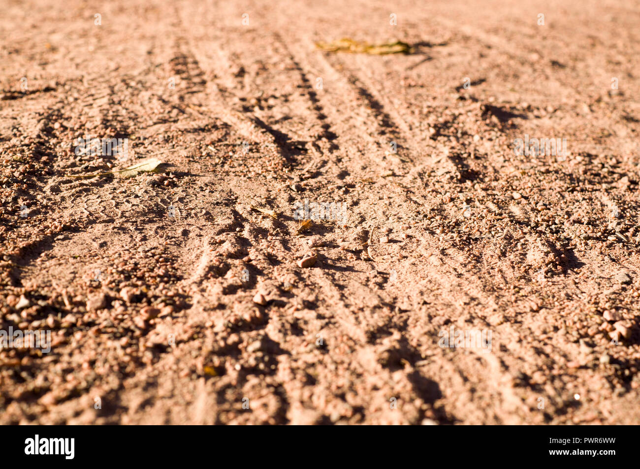 sandy path with cycle bike tire tracks with perspective. background ...