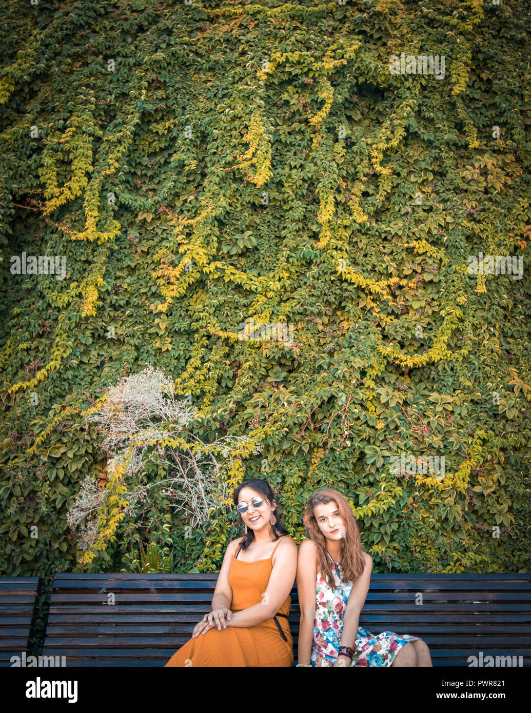On the bench Stock Photo - Alamy