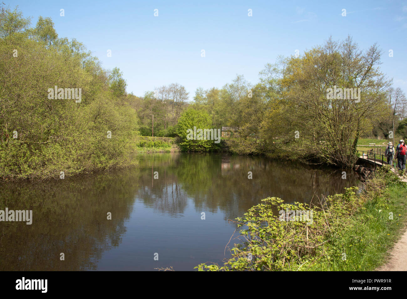 Small canal above the River Etherow in spring at Etherow Country Park ...