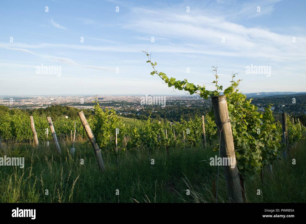 Dobling hi-res stock photography and images - Alamy