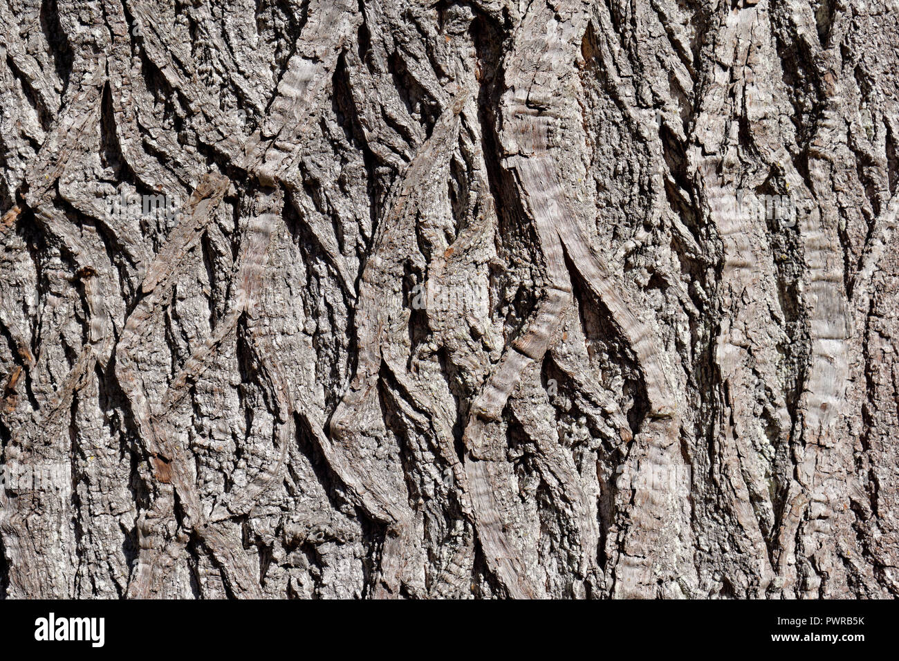 Rough furrows hi-res stock photography and images - Alamy
