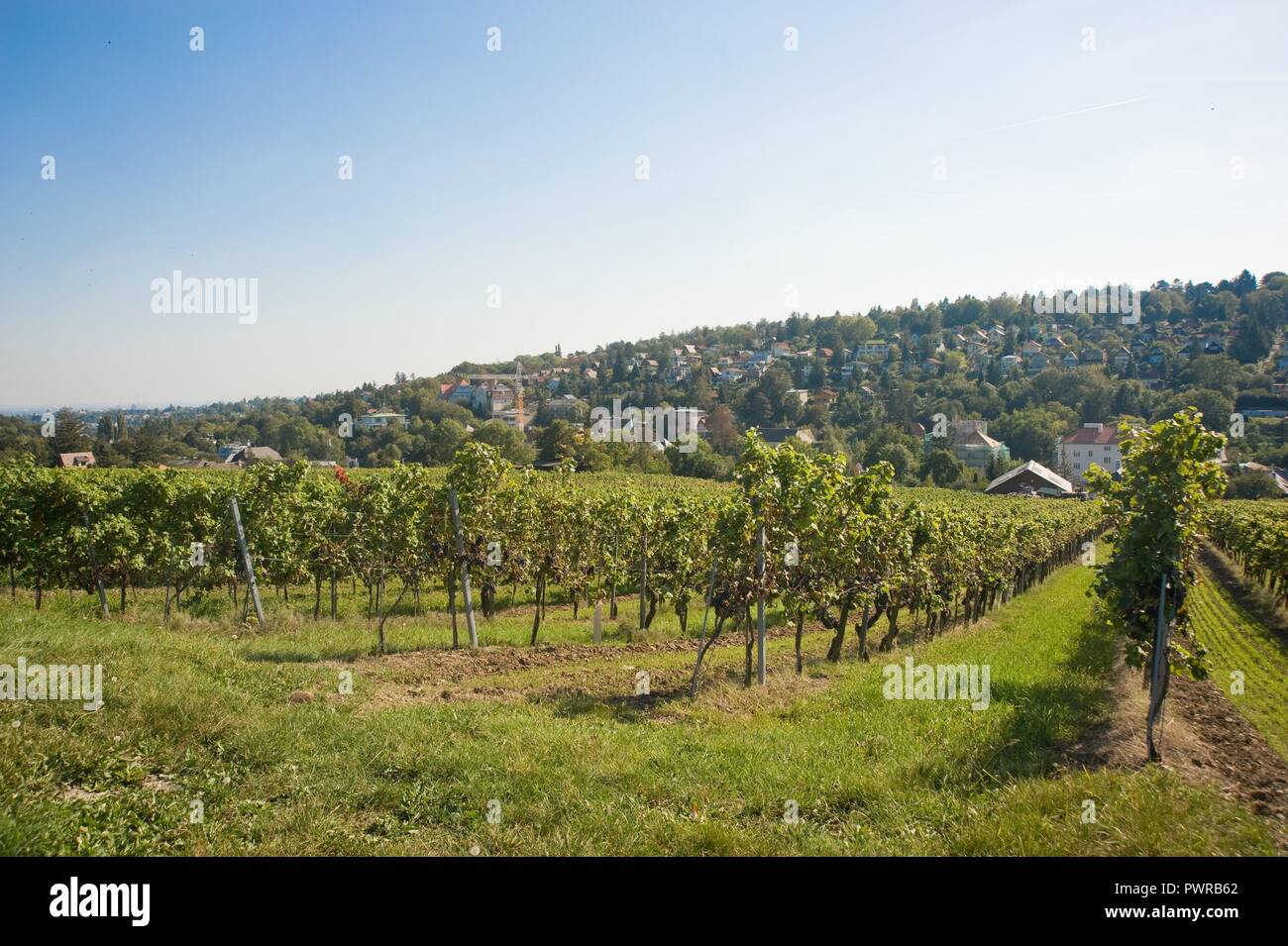 Hausberge hi-res stock photography and images - Alamy