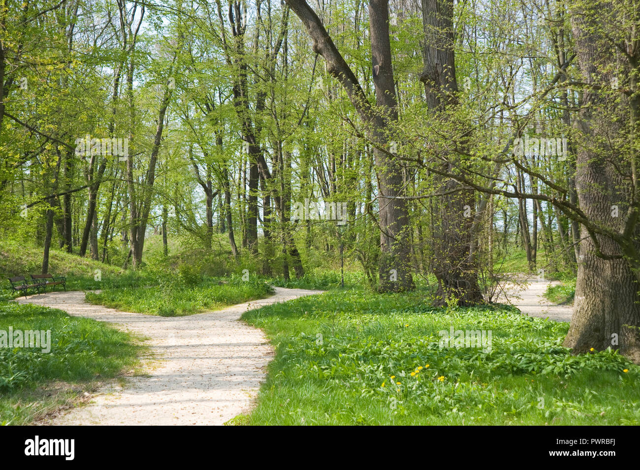 Wienerwald hiking trail hi-res stock photography and images - Alamy