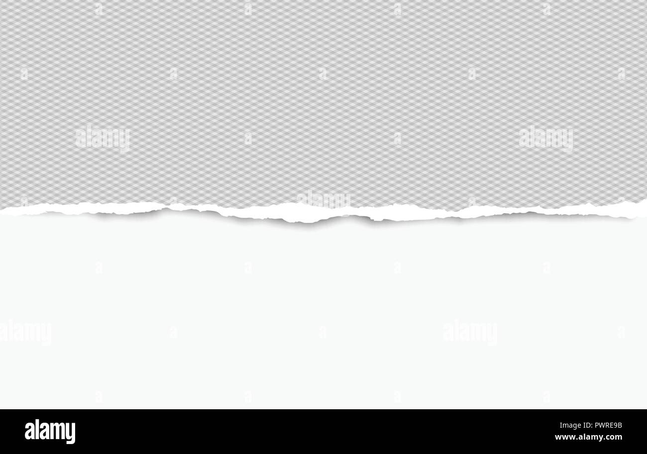 Squared ripped horizontal paper strip for text or message on white ...