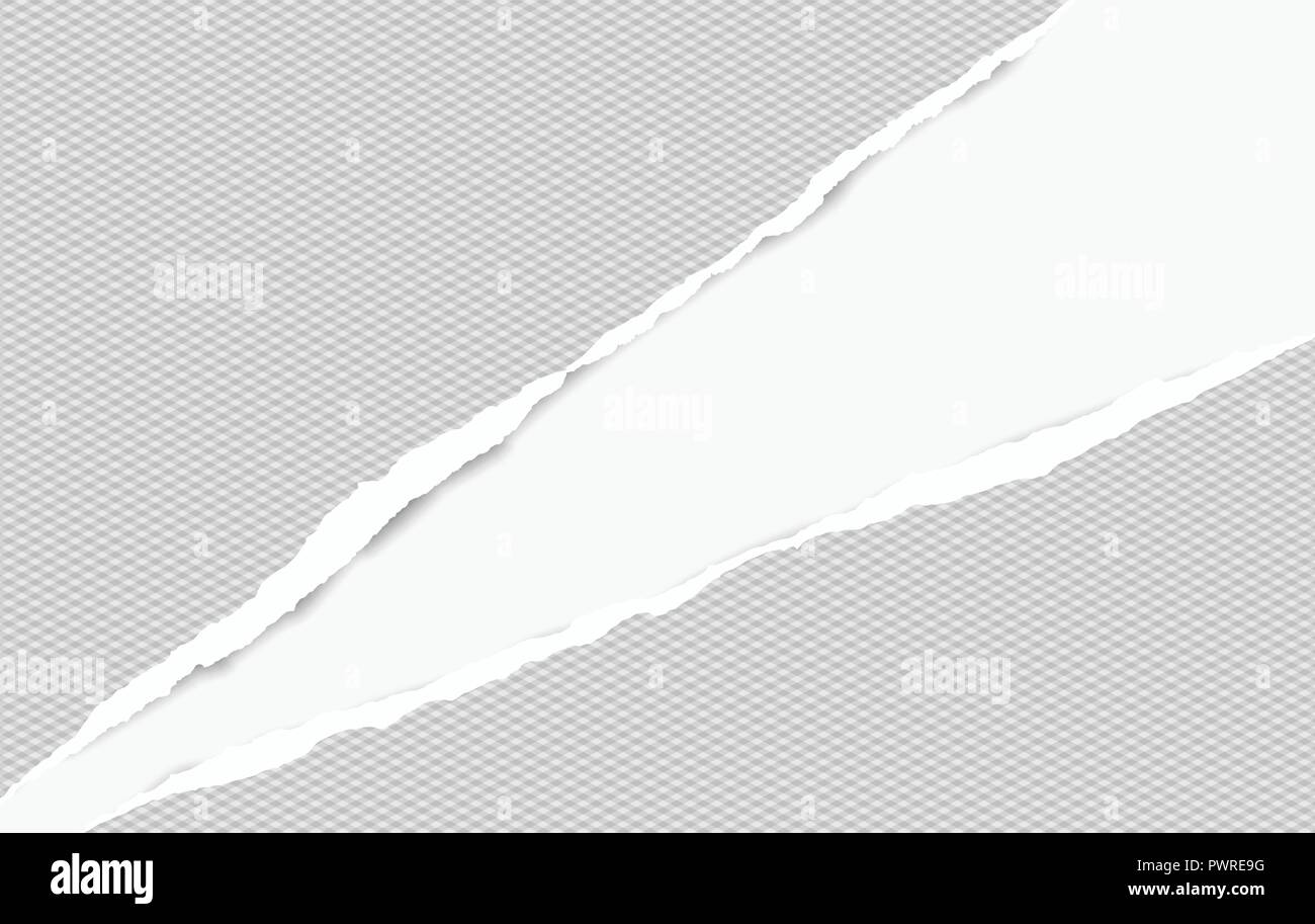 Squared ripped paper strips for text or message on white background ...