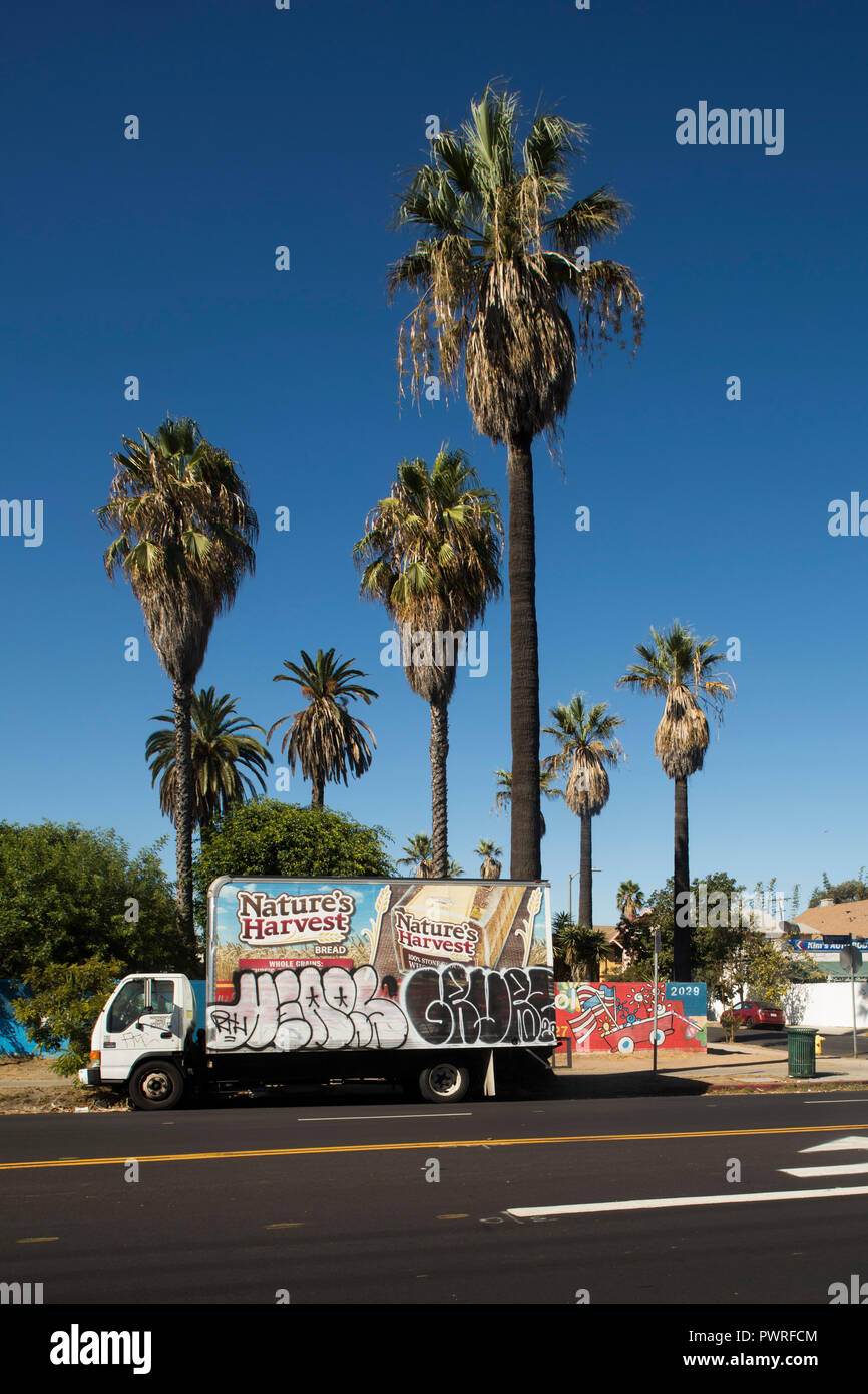 Palm Trees, neighborhood near West Adams and La Brea, Los Angeles ...
