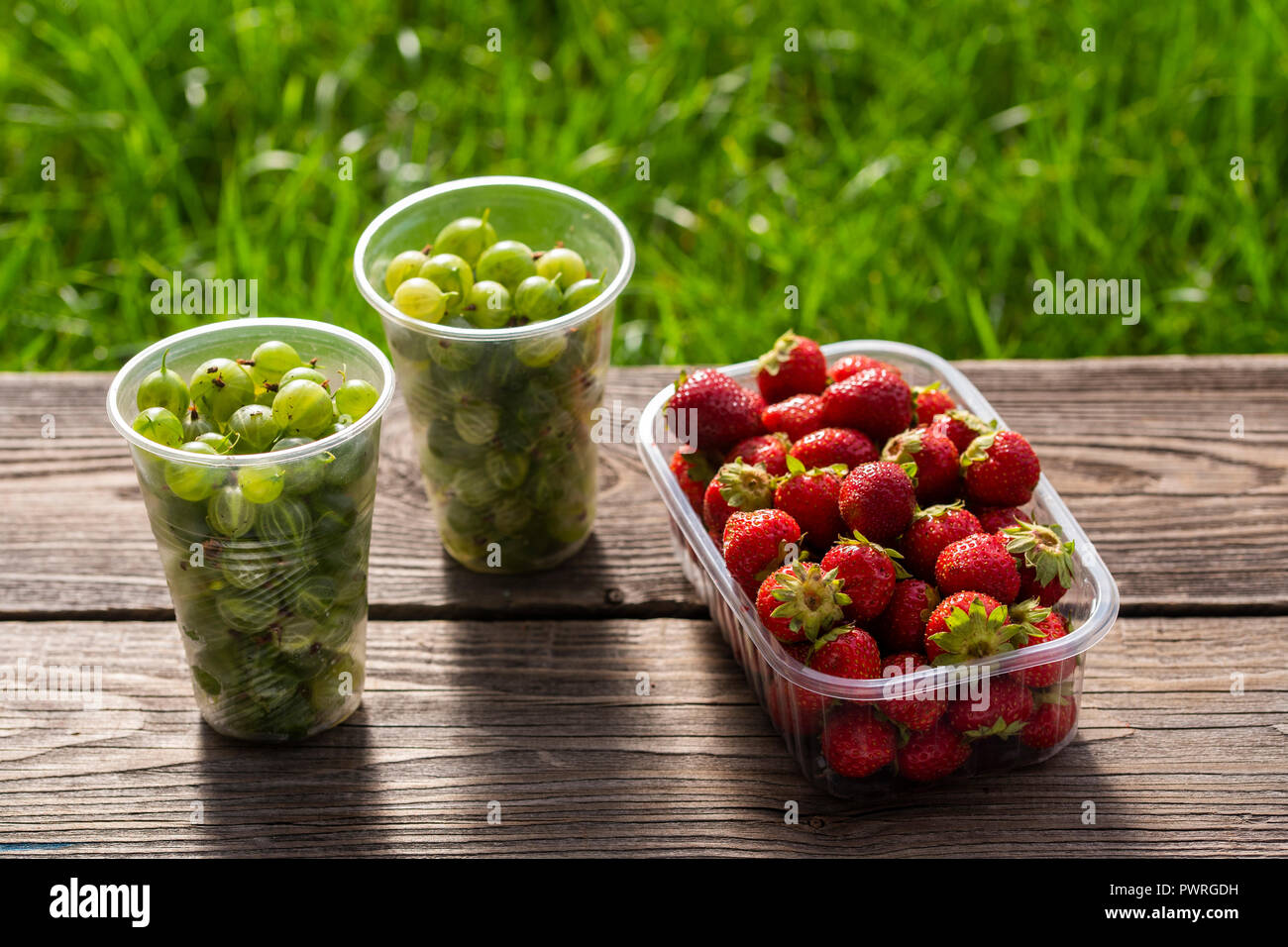 Denticles hi-res stock photography and images - Alamy
