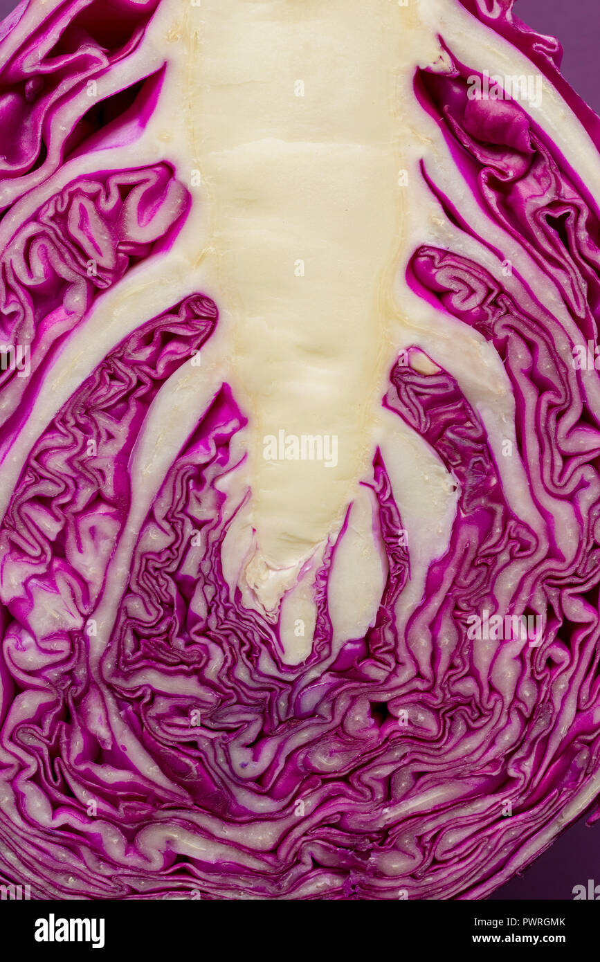Cross section close up red cabbage hi-res stock photography and images ...