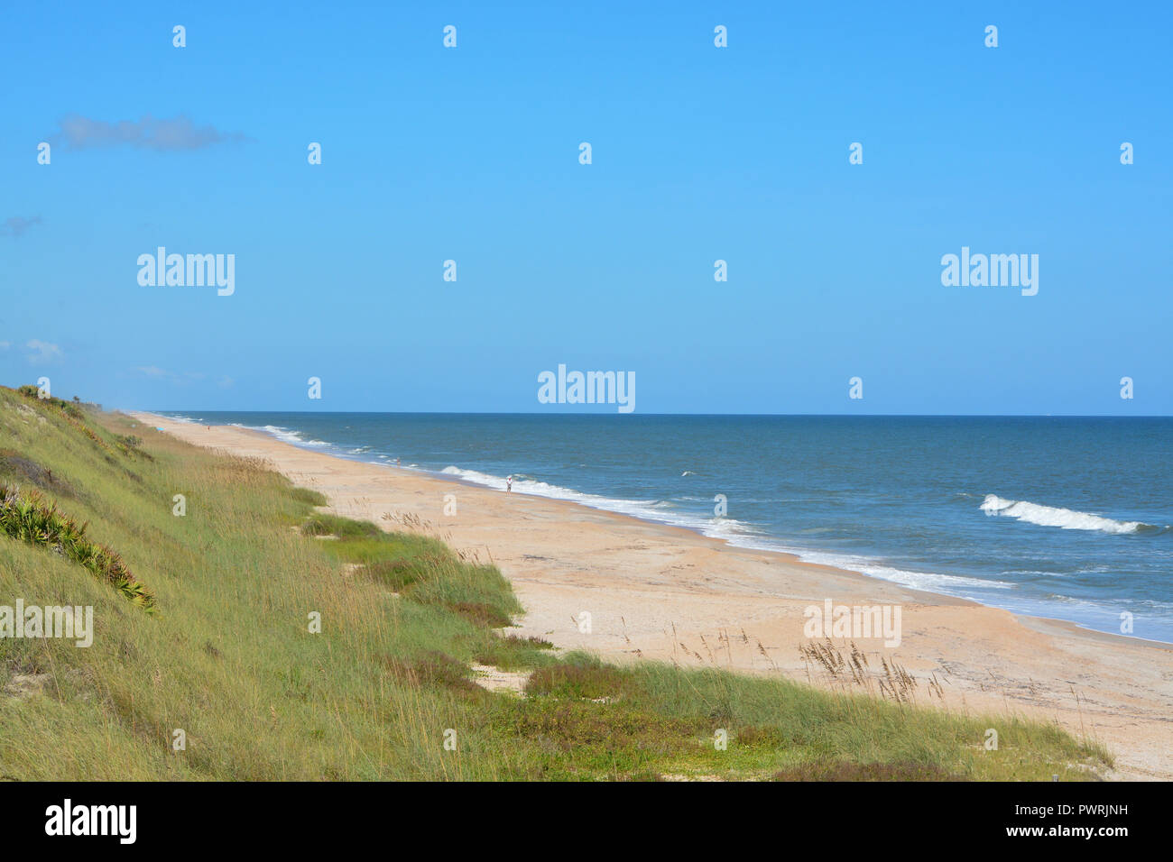 North Beach Guana River Preserve on the Atlantic Ocean in Florida Stock ...