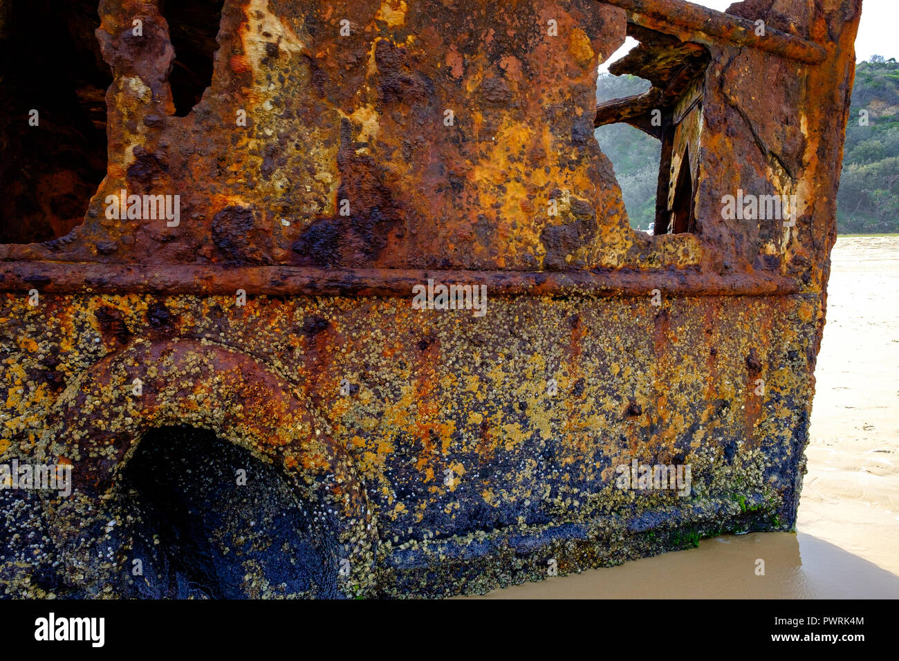 SS Maheno Wreck - Fraser Island Stock Photo - Alamy