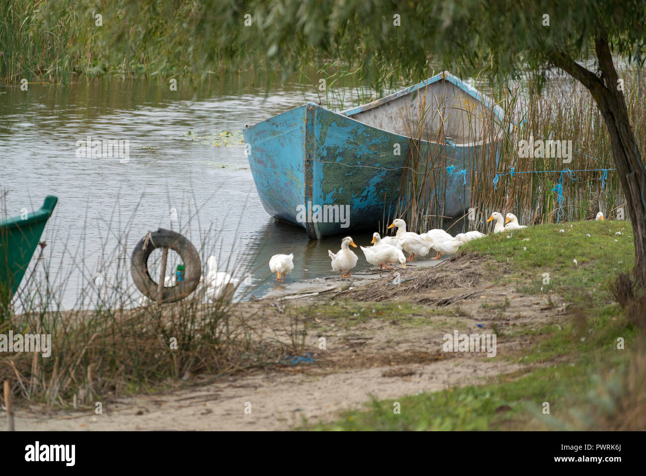 Roman rowing boat hi-res stock photography and images - Alamy