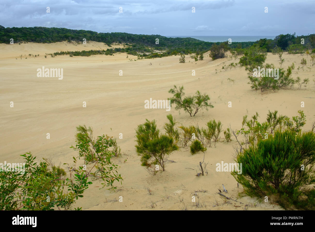 Lake Wabby - Fraser Island Stock Photo - Alamy