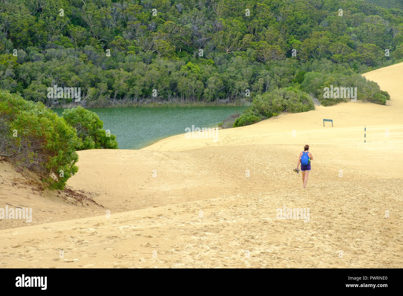 Fraser island queensland lake wabby hi-res stock photography and images - Alamy
