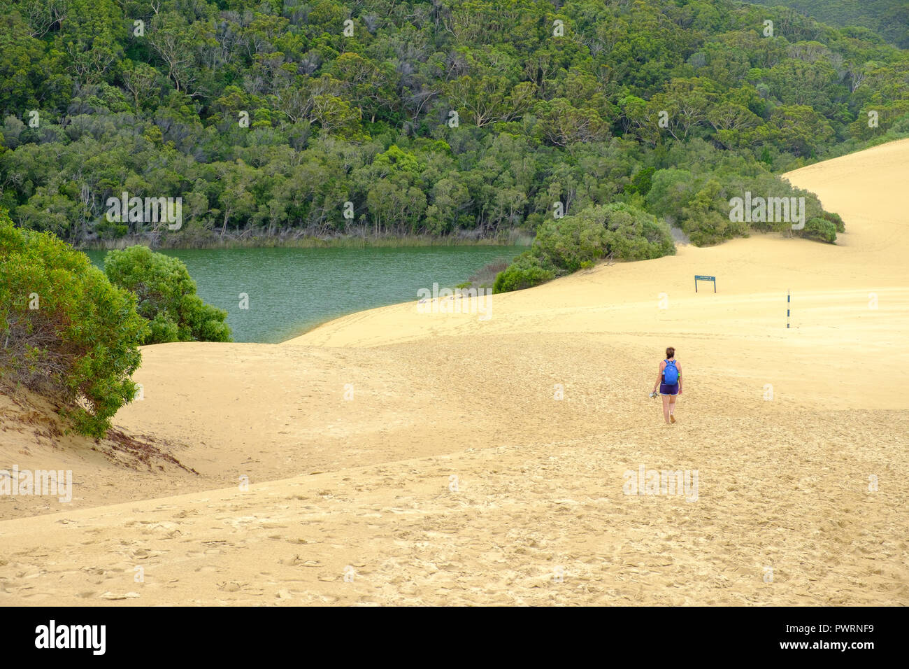 Lake Wabby - Fraser Island Stock Photo - Alamy