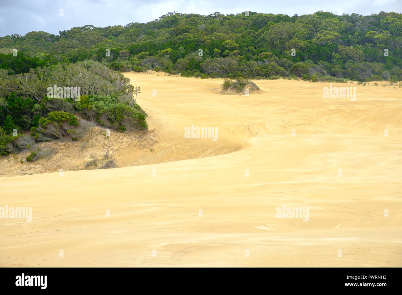 Lake Wabby - Fraser Island Stock Photo - Alamy