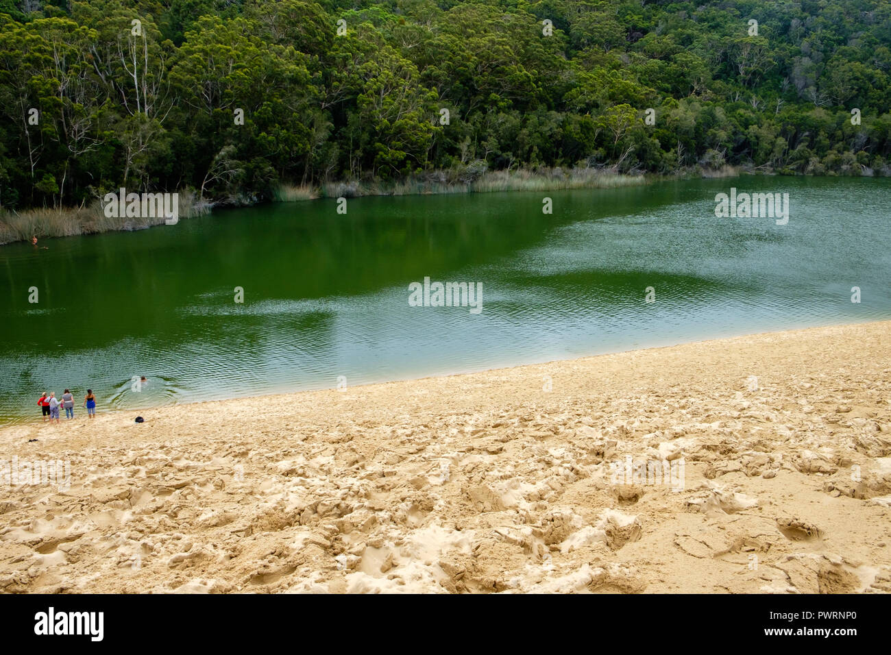 Lake Wabby - Fraser Island Stock Photo - Alamy