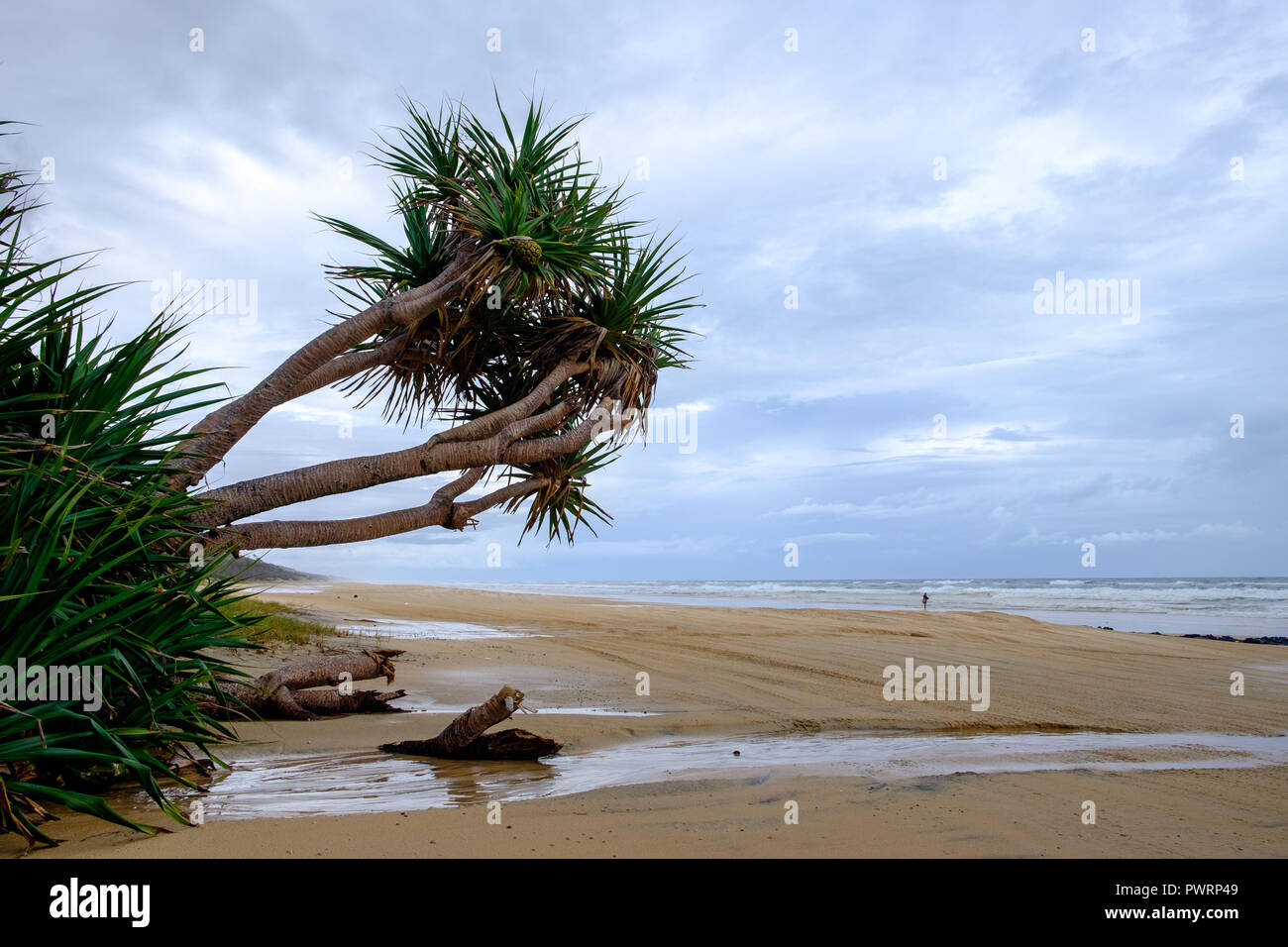 Poyungan Rocks - Fraser Island Stock Photo - Alamy