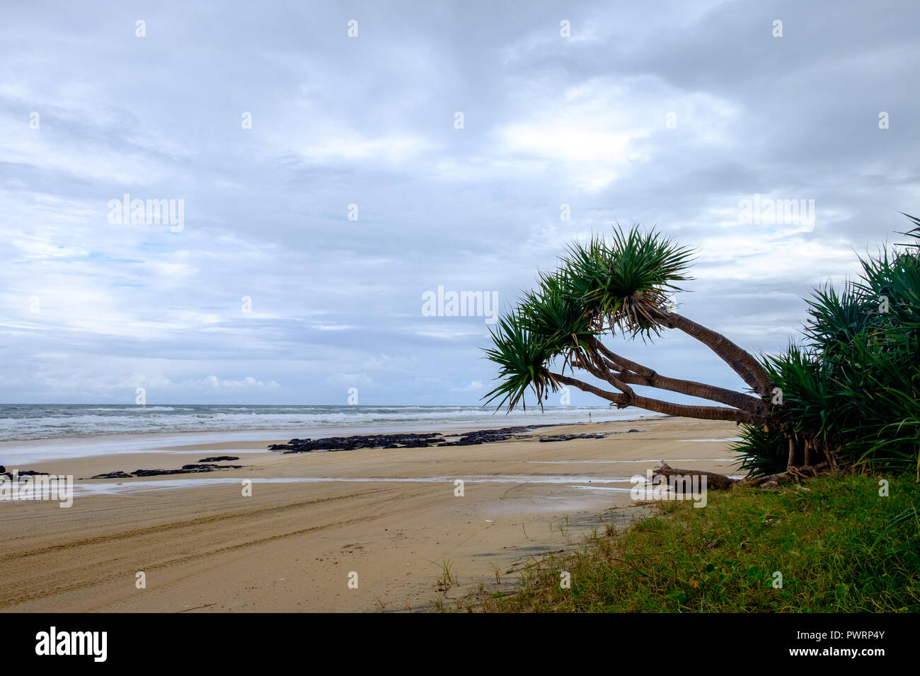Poyungan Rocks - Fraser Island Stock Photo - Alamy