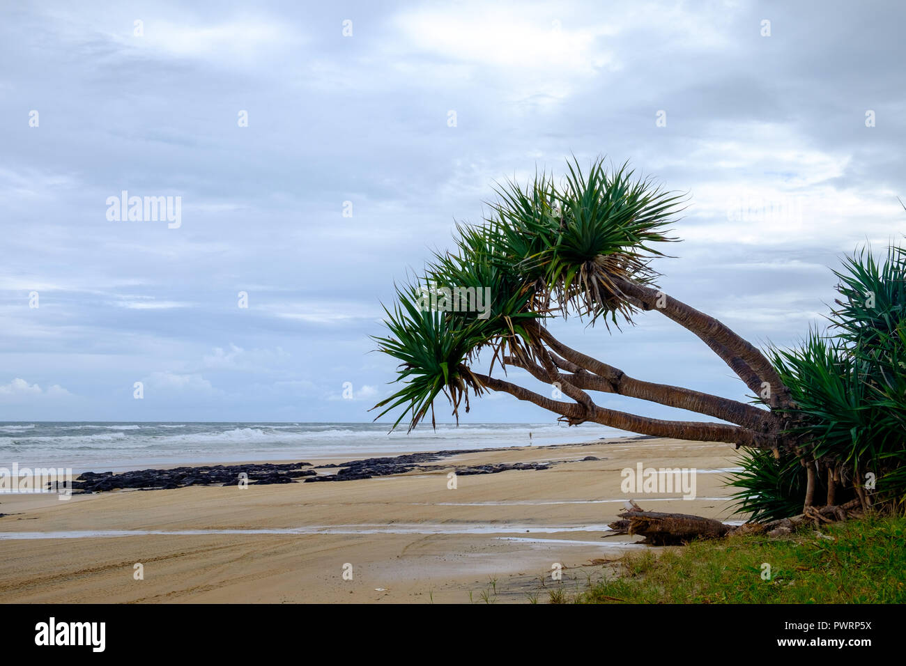 Poyungan Rocks - Fraser Island Stock Photo - Alamy
