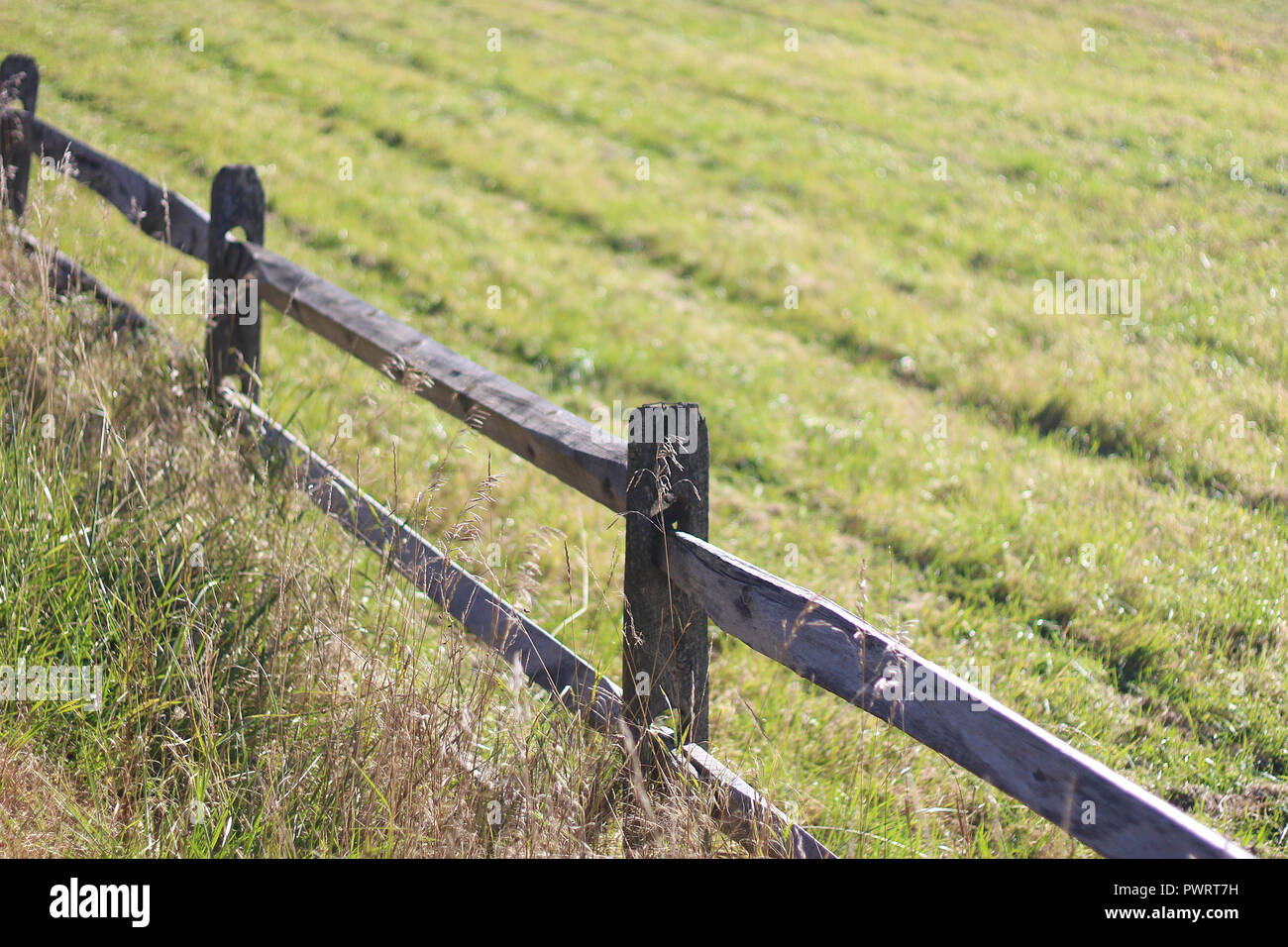 Field fence hi-res stock photography and images - Alamy