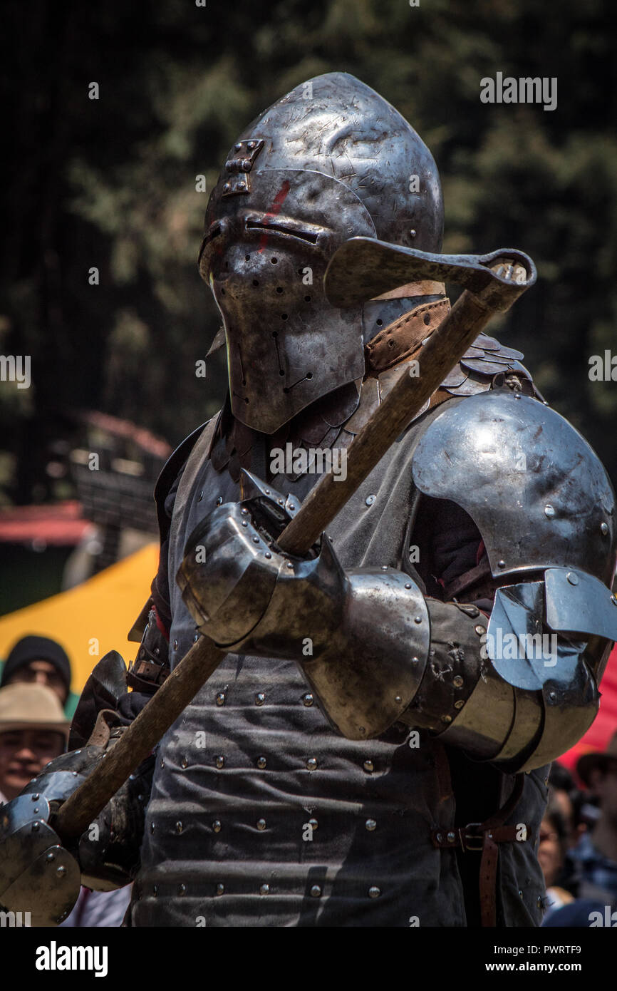 Medieval Knights Fighting