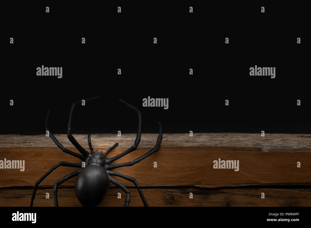 Fake rubber spider toy on black background, halloween concept Stock ...