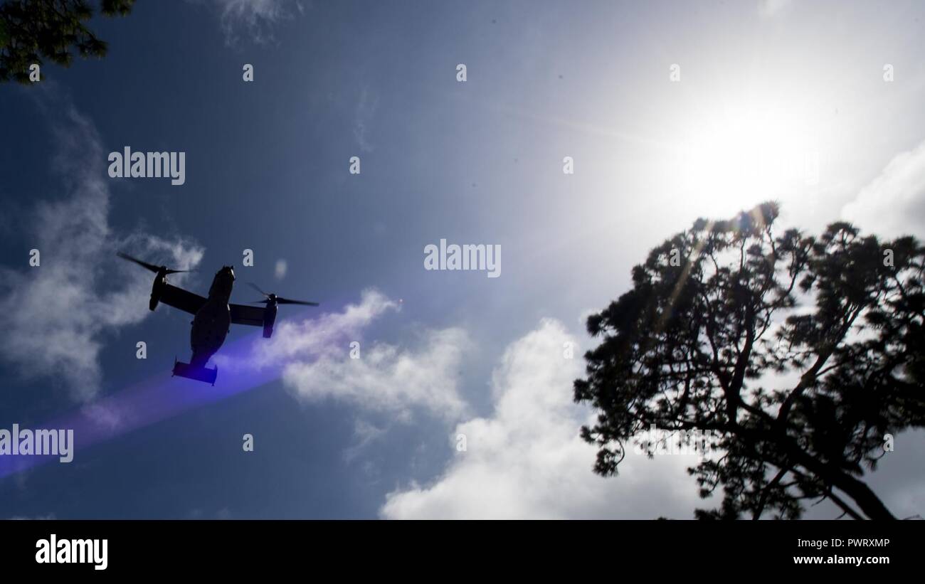 Operation eagle claw 1979 hi-res stock photography and images - Alamy