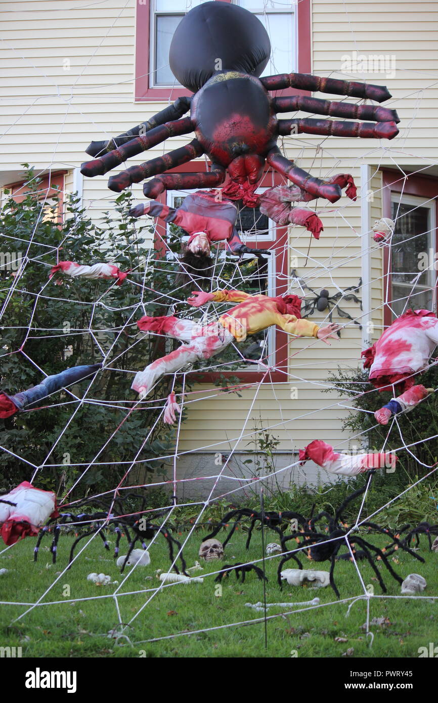 Lawn spiders hi-res stock photography and images - Alamy