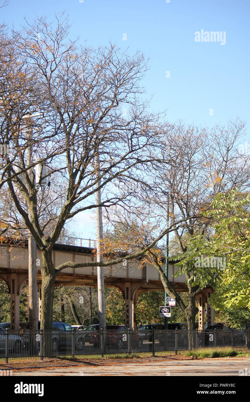 Chicago's elevated green line steel girder CTA train tracks in the fall ...