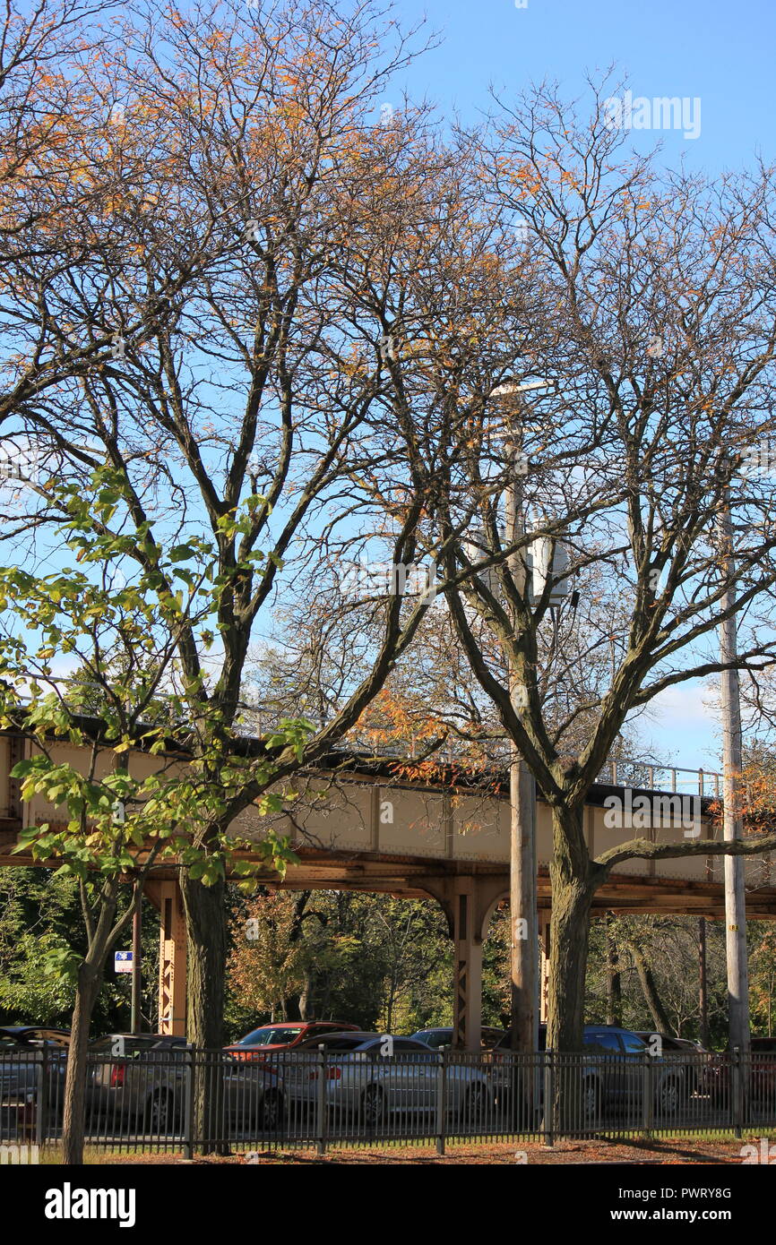 Chicago's elevated green line steel girder CTA train tracks in the fall ...