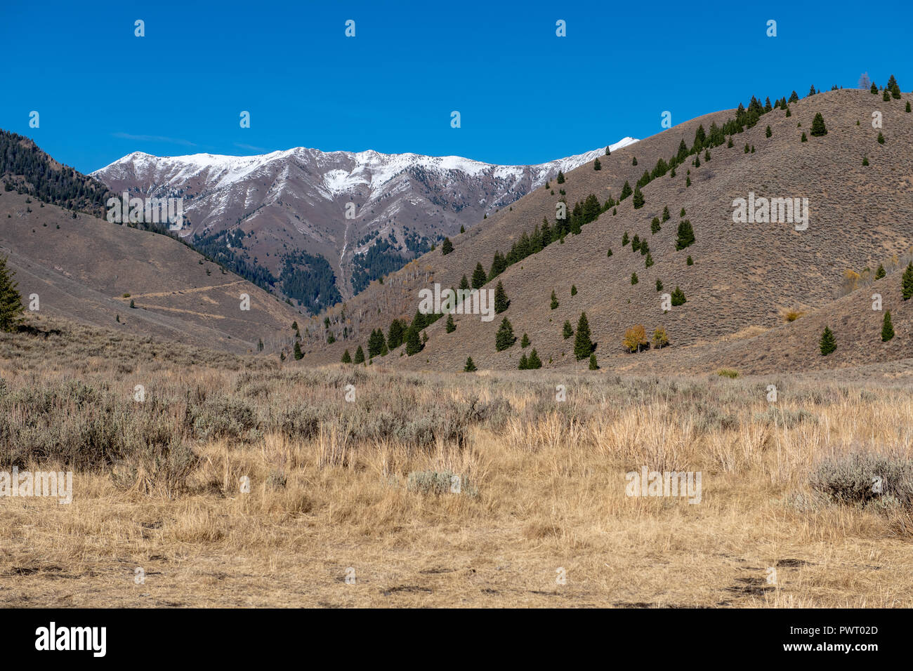 Snow-capped Sawtooth Mountains of Idaho in Autumn Stock Photo - Alamy