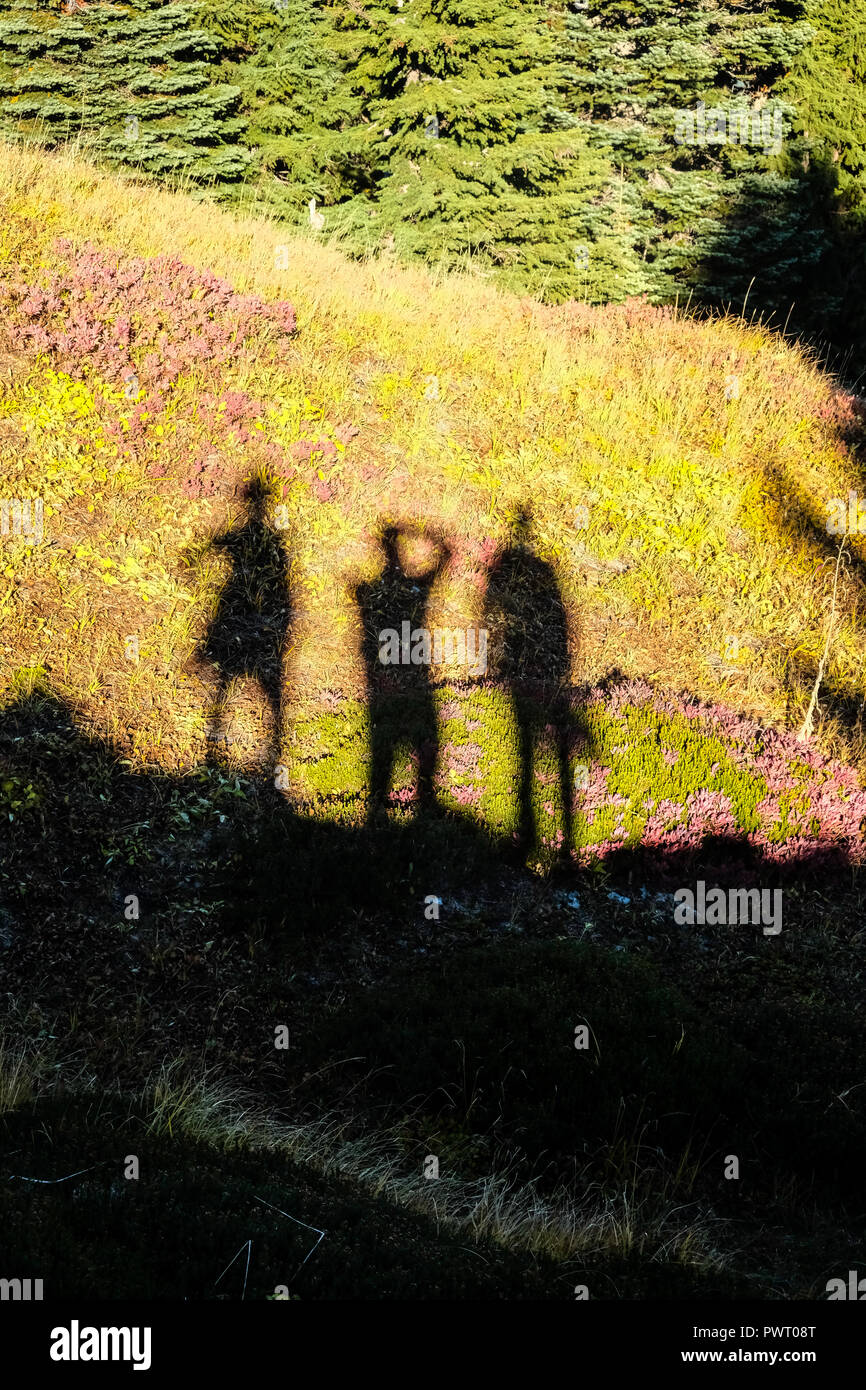 Shadow figures hi-res stock photography and images - Alamy
