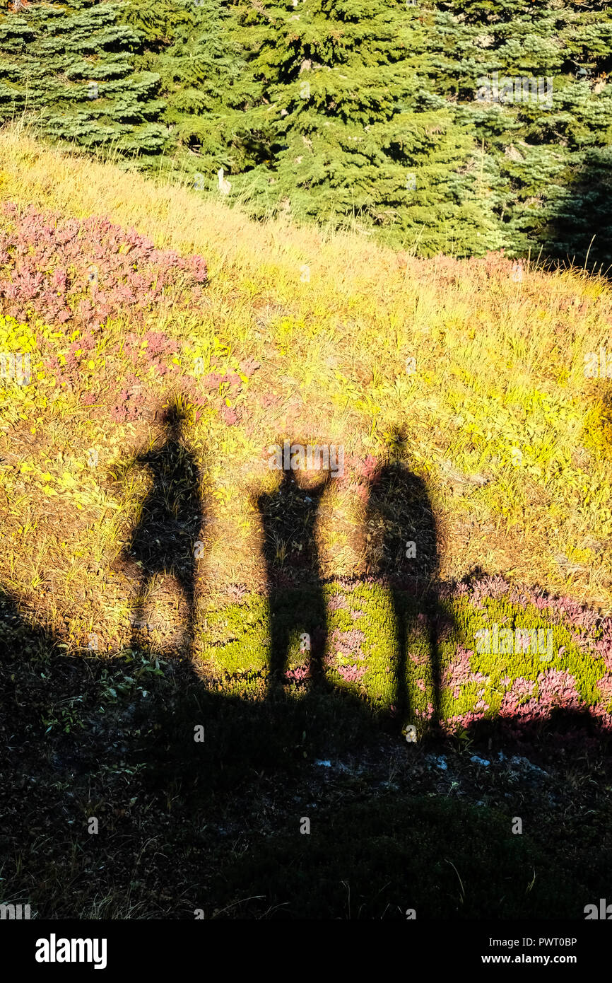 Shadow figures hi-res stock photography and images - Alamy