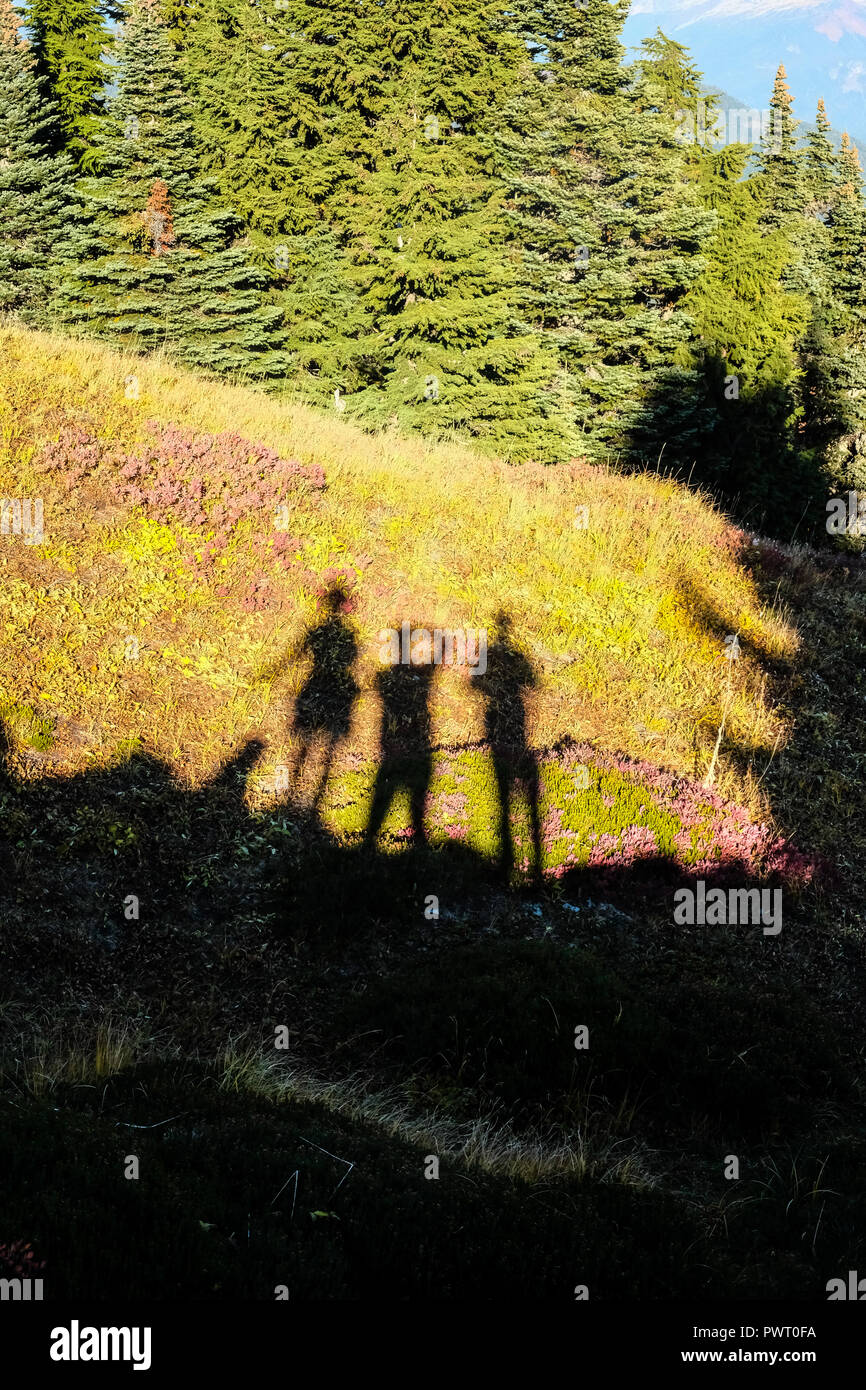 Shadow figures hi-res stock photography and images - Alamy