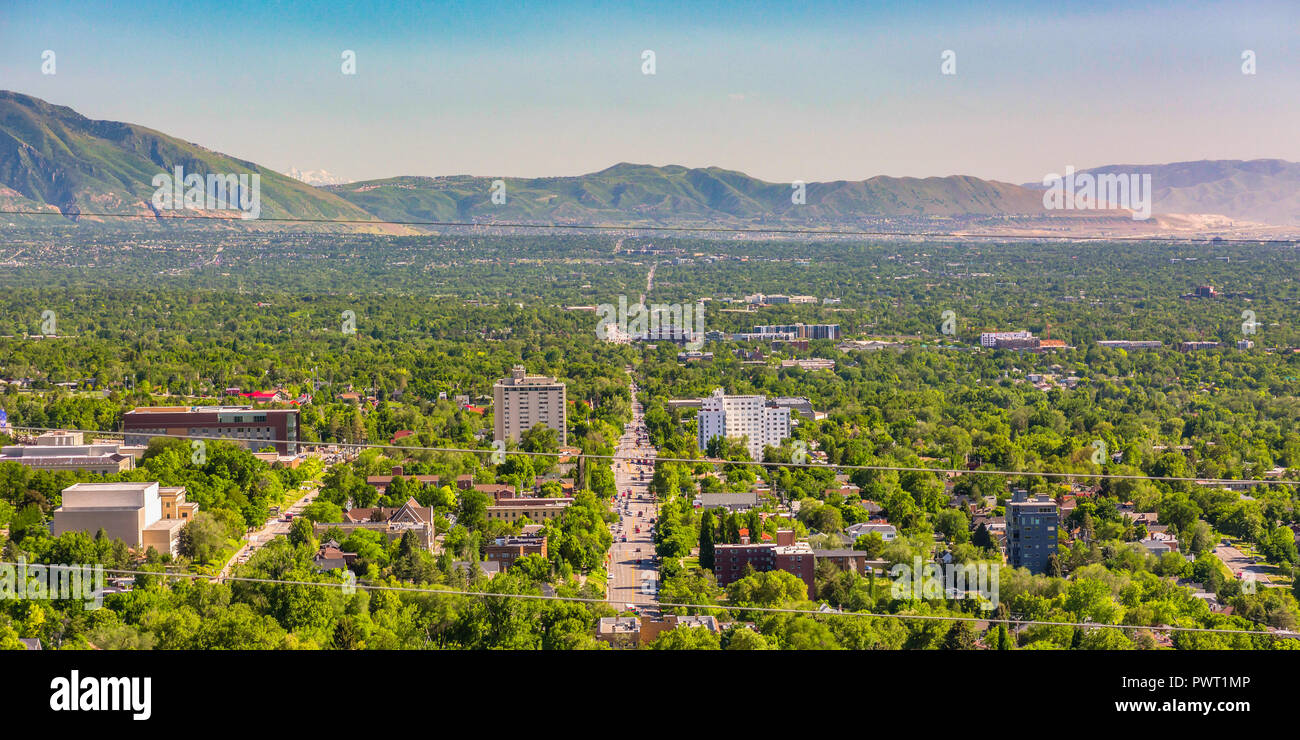 High rise buildings trees hi-res stock photography and images - Alamy