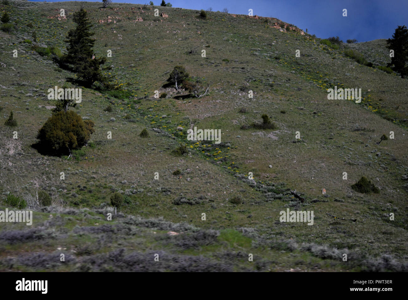Barren world hi-res stock photography and images - Alamy