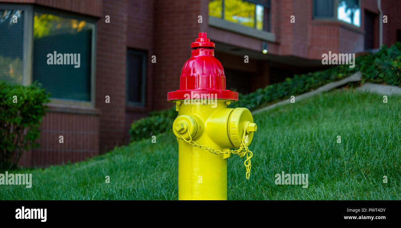Fire hydrant on a lawn in front of brick building Stock Photo - Alamy